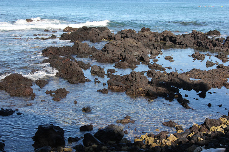 Sea Turtles and Tide Pools | Big Island Things to Do | Paradise In Hawaii
